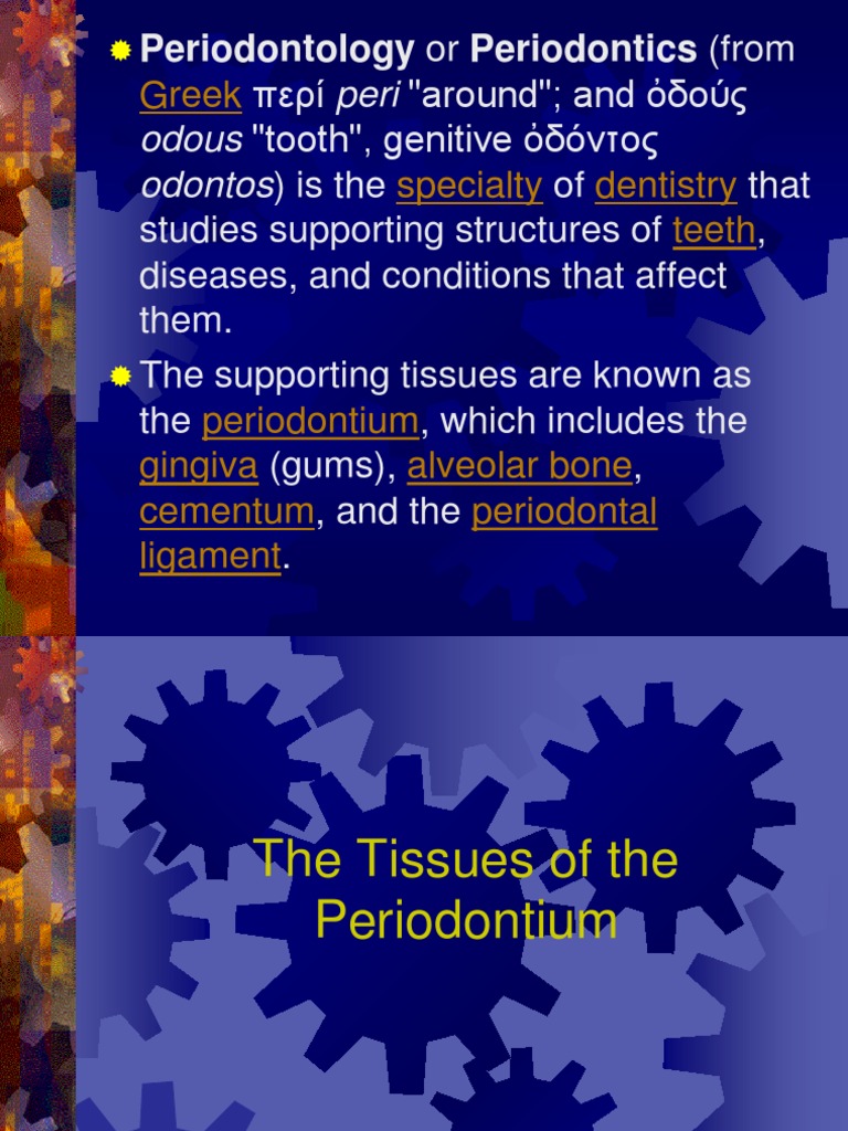 1 The Tissues of The Periodontium | PDF | Epithelium | Human Tooth