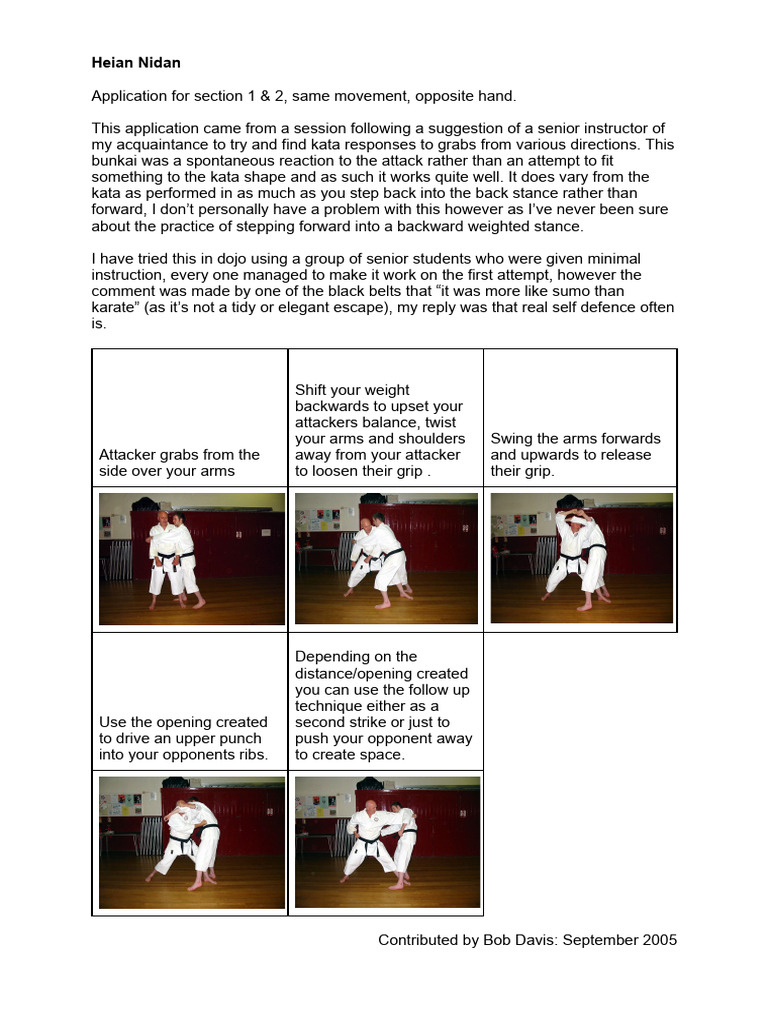 Heian Nidan App1 | PDF