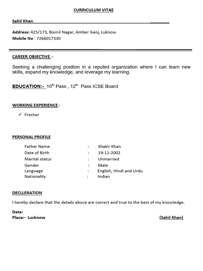 Sahil CV | PDF
