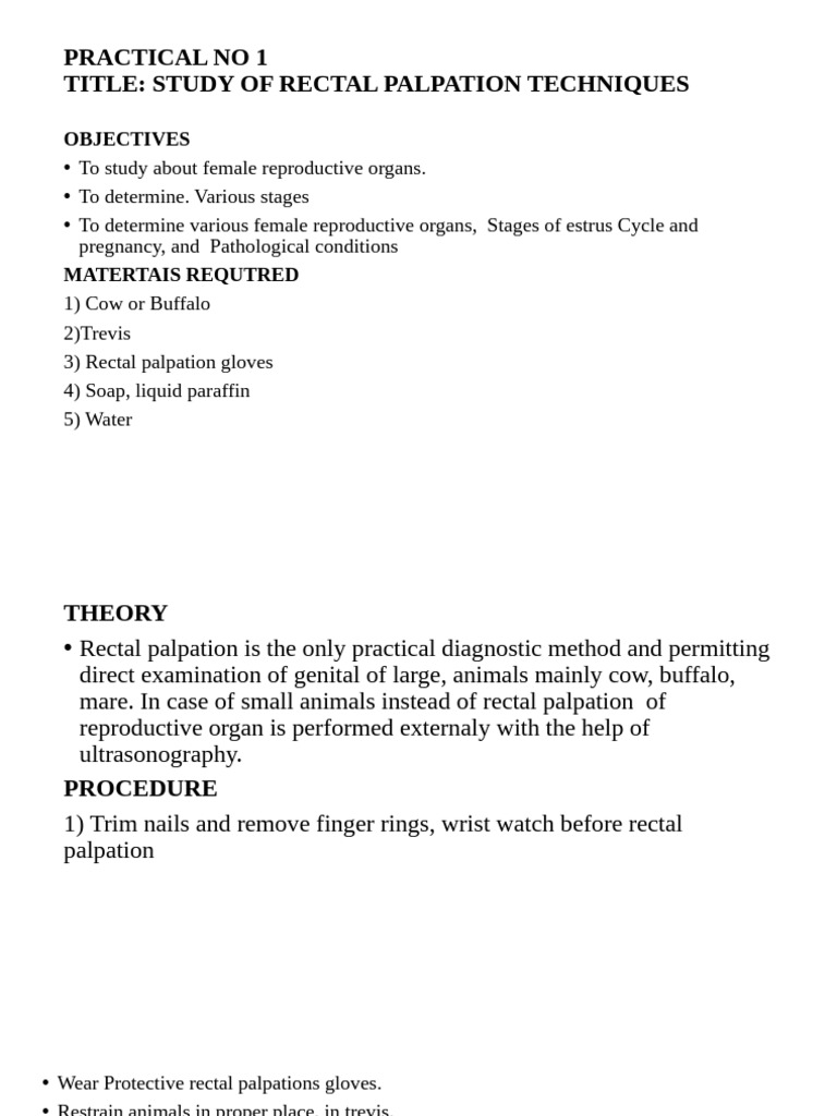 Practical Rectal Palpation in Animal | PDF