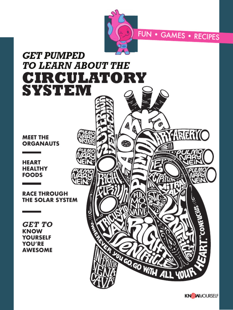 upload 2 | PDF | Blood | Heart