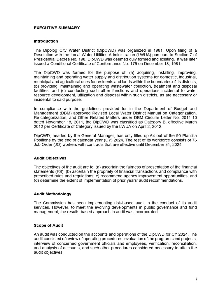 05-DipologCityWD2024 Executive Summary | PDF | Audit | Equity (Finance)