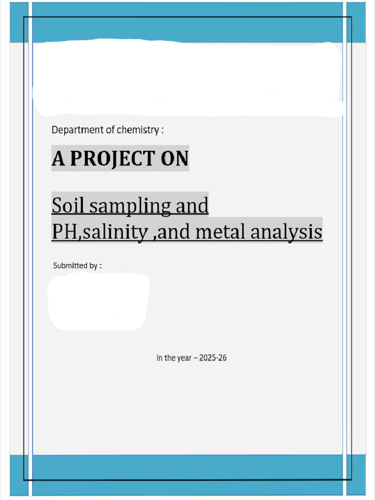 Project Work | PDF