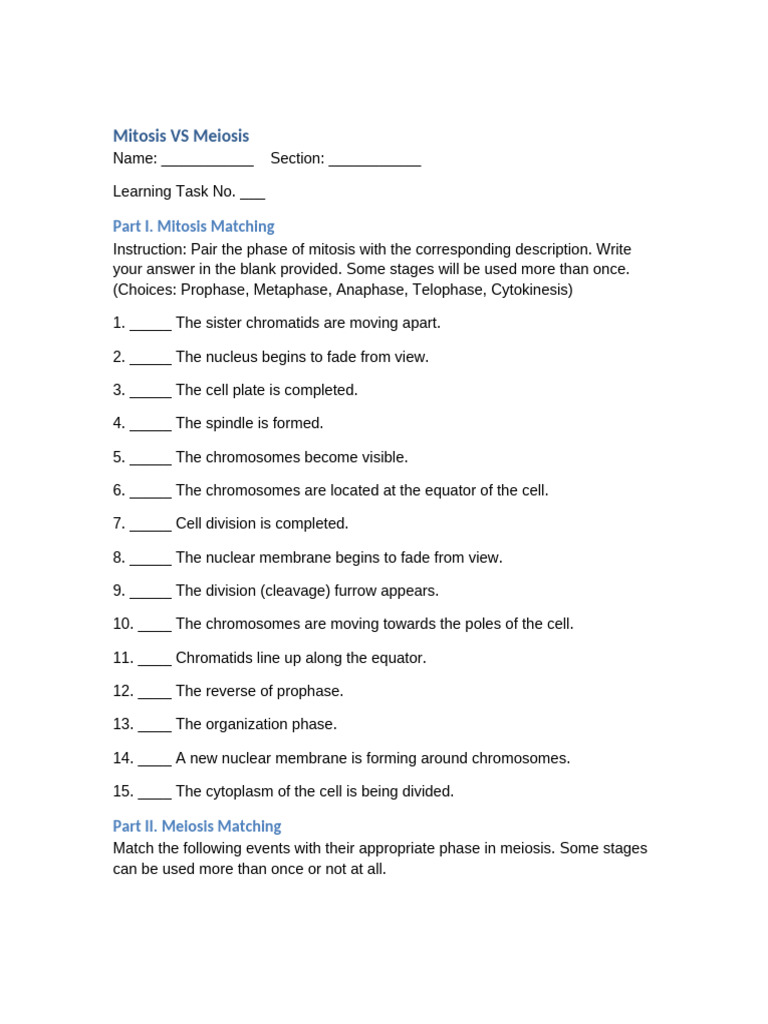 Mitosis vs Meiosis Worksheet | PDF