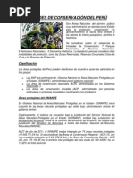 Relieves de La Selva Alta | PDF