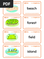 Coral Island Insect Guide | PDF