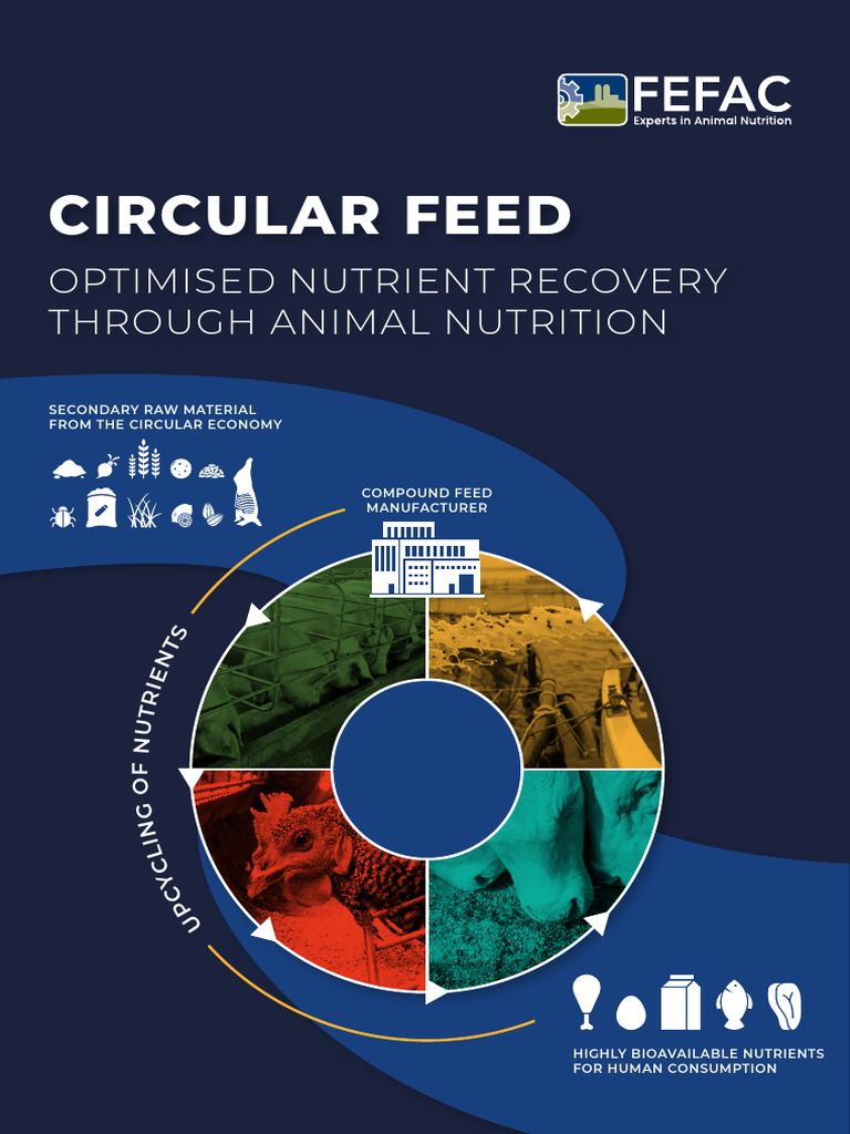 Circular Feed Publication | PDF | Brewing | Cereals