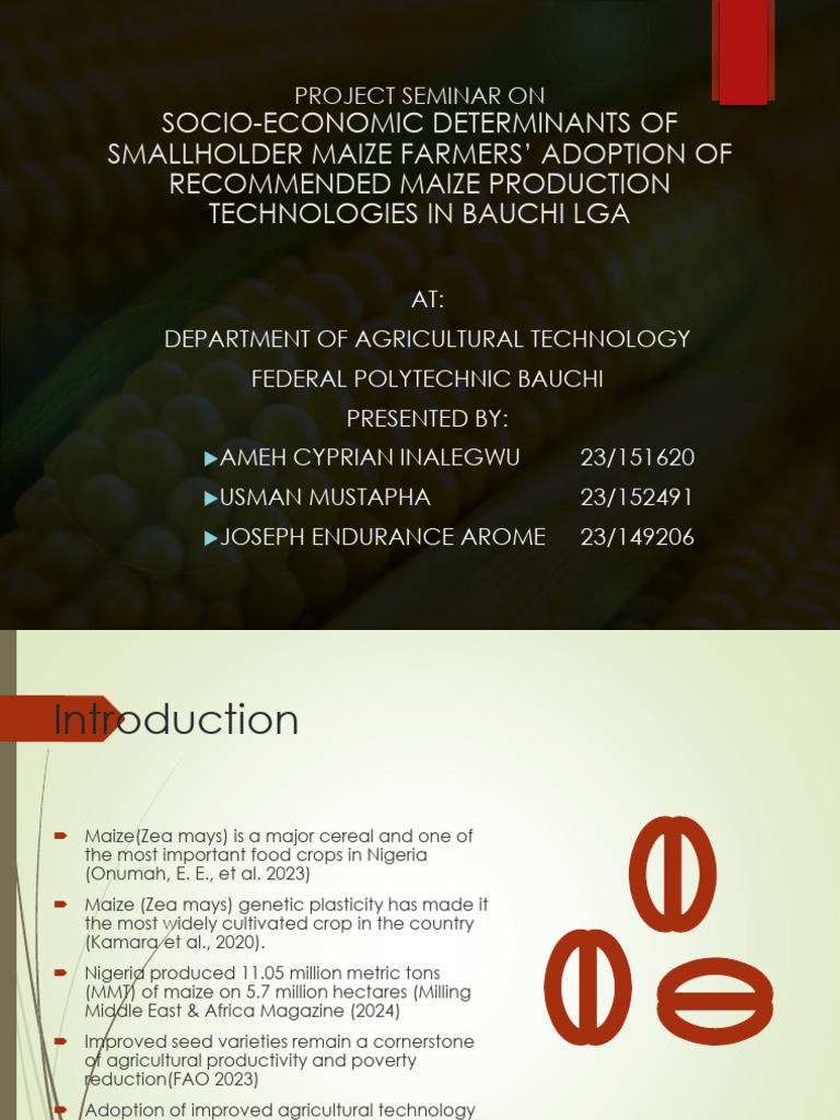 Maize Project Slide | PDF | Agriculture | Maize