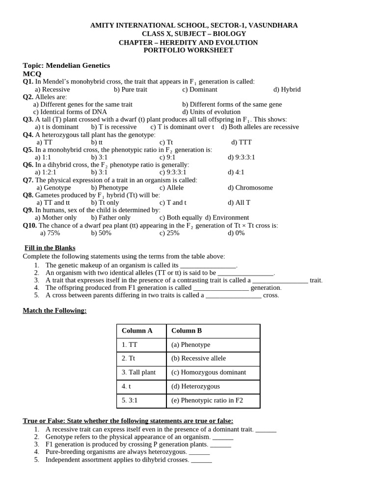 Heredity Worksheet | PDF | Genotype | Dominance (Genetics)