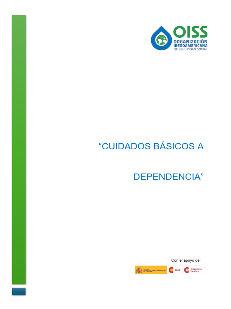Programa Curso Cuidados Basicos 2025 | PDF | Aprendizaje