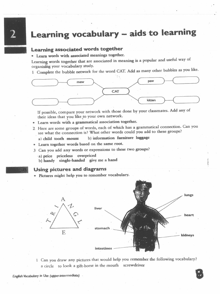 2.1 Lexical Sets - Vocabulary | PDF | Verb | Semantic Units