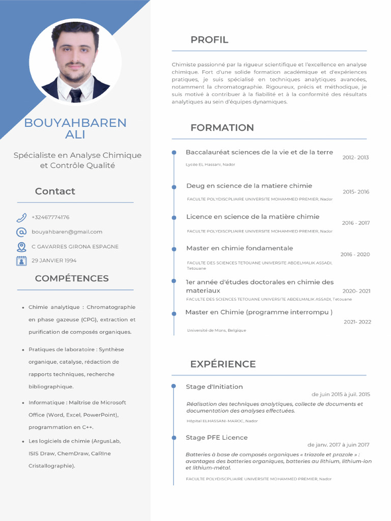 Professional CV 2025 | PDF