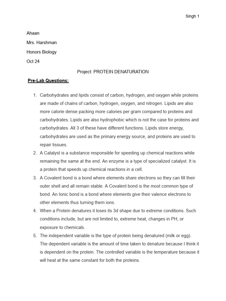 25-26 Project - Protein Denaturation Student Template | PDF | Chemical ...
