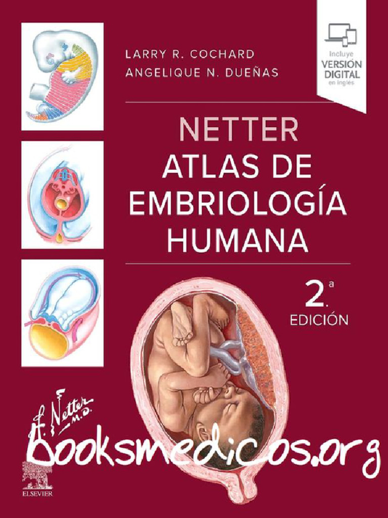 Netter Atlas de Embriologia Humana 2a Edicion | PDF | Sistema nervioso ...