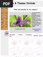 EU4 Console Commands List - EU4 Cheats | PDF | Command Line Interface ...