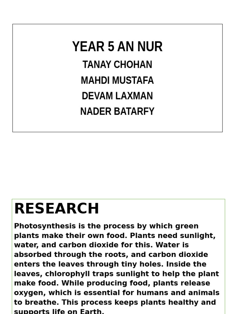Tanay Board 1 | PDF | Photosynthesis | Plants