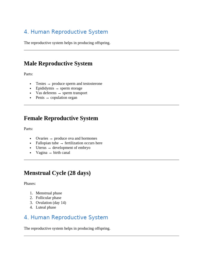 Male Reproductive System | PDF | Reproductive System | Human Reproduction