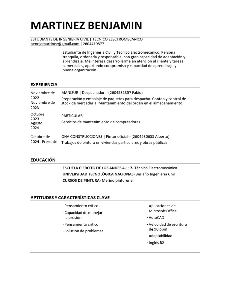 CV Benjamin | PDF