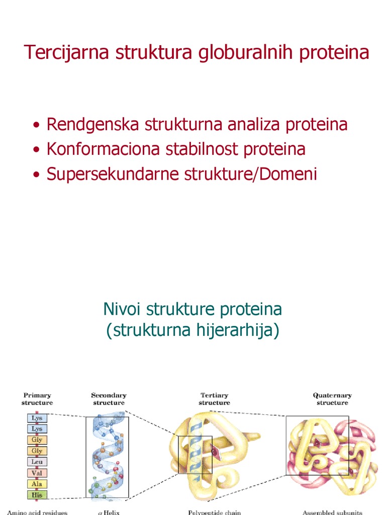 09_10_11_Tercijarna_struktura_proteina