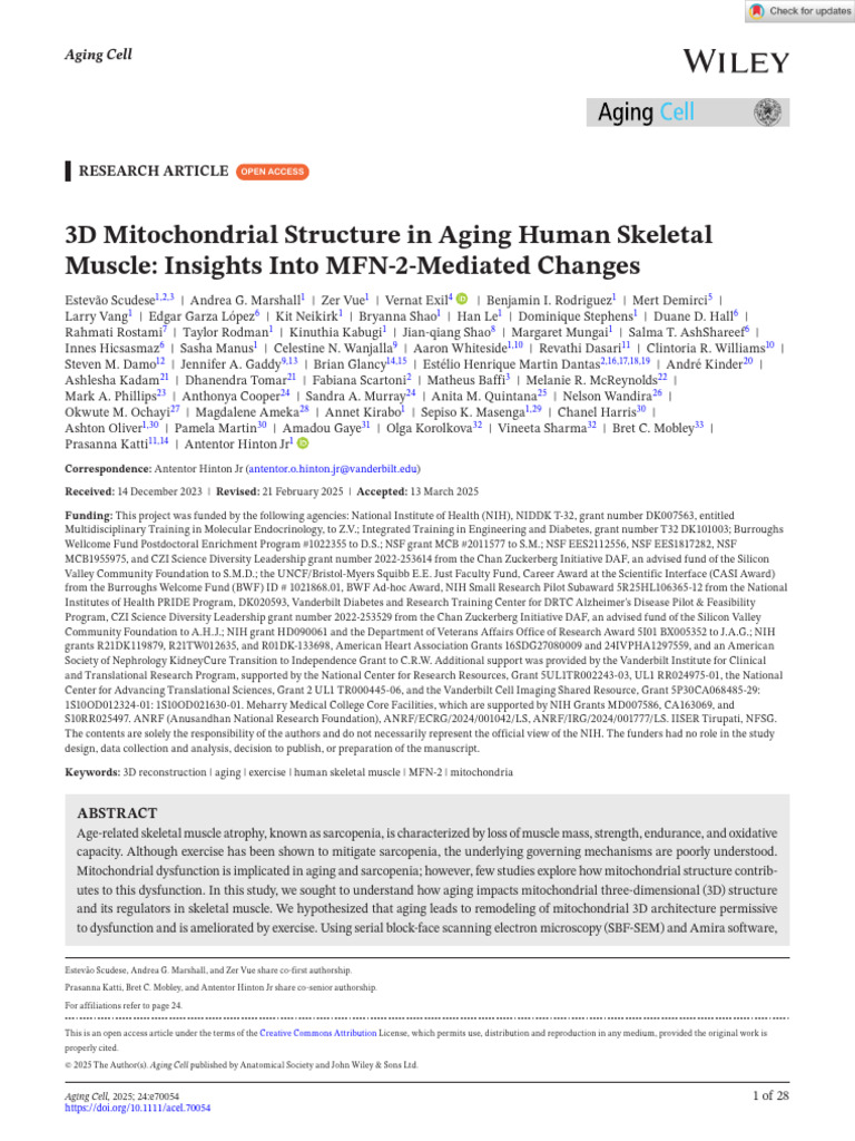 Aging Cell - 2025 - Scudese - 3D Mitochondrial Structure in Aging Human ...