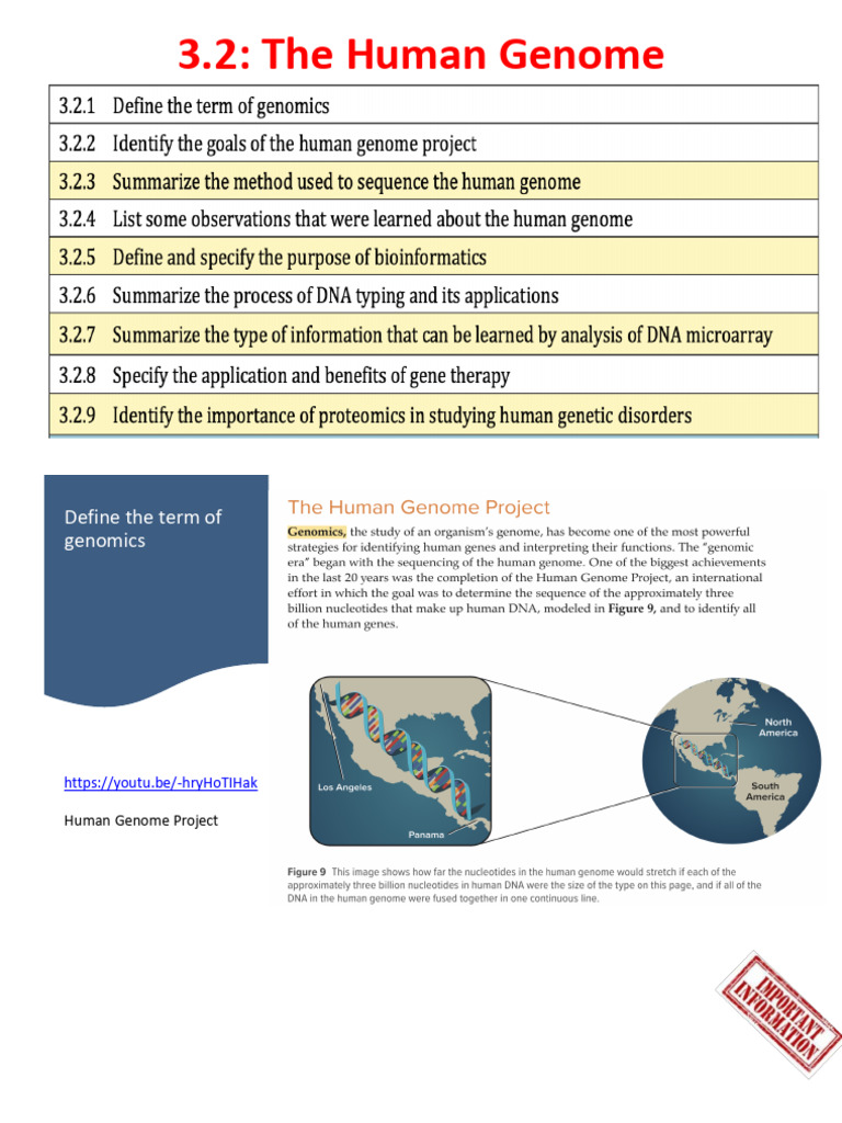 3.2 the Human Genome | PDF | Human Genome | Genome