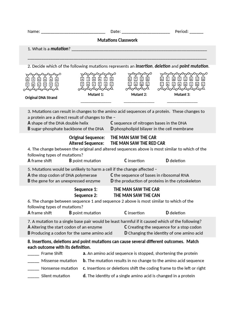 Mutations Classwork | PDF | Nucleic Acid Sequence | Mutation