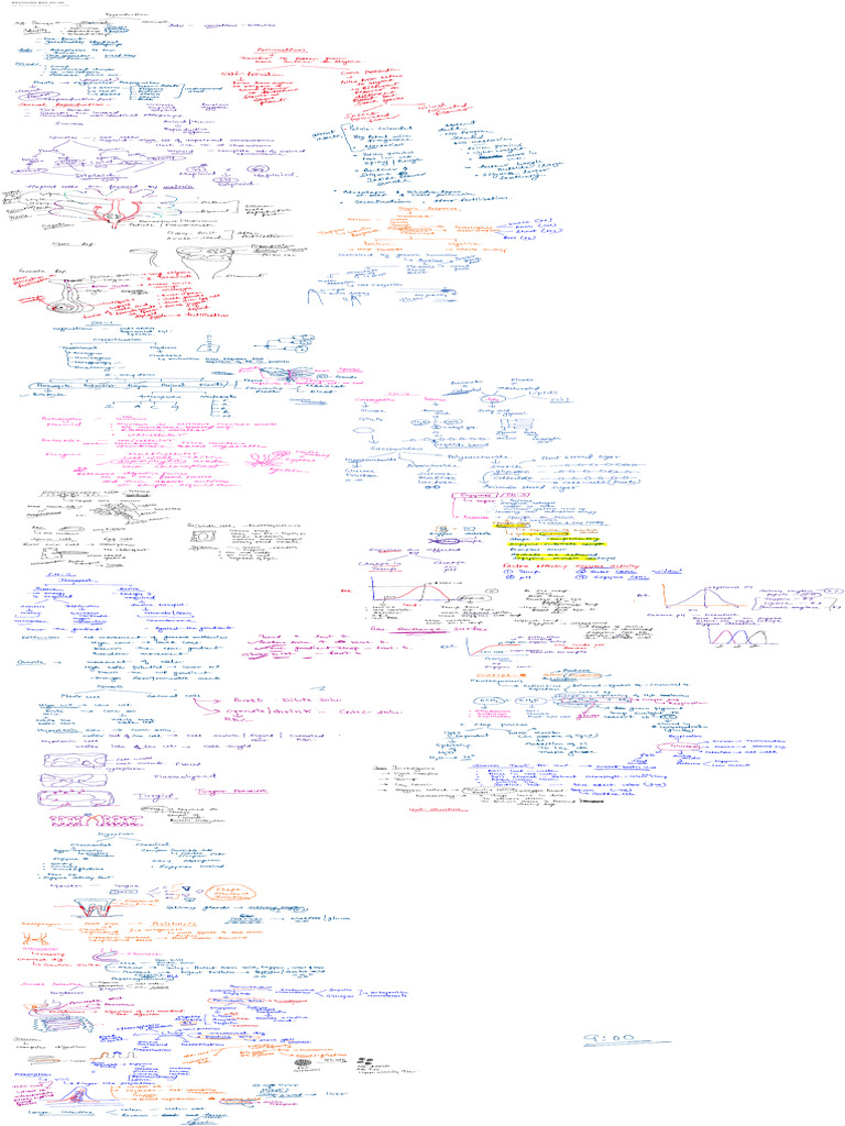 Revision Bio 25-26 | PDF
