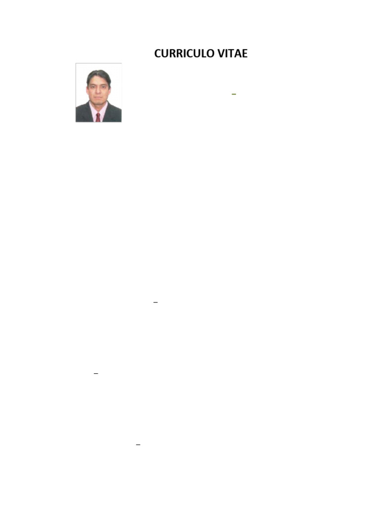 CURRICULUM VITAE 2025 (3) | PDF | Electrónica | Vehículo de motor