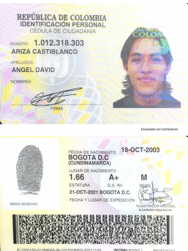 Documentación Certificación Angel David Ariza Castiblanco - 1012318303 ...