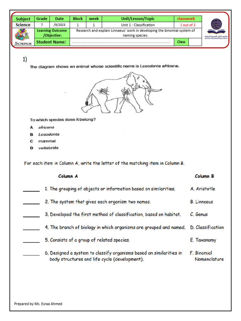 G7-Sci-B1-U1-WS | PDF | Biological Classification | Biology