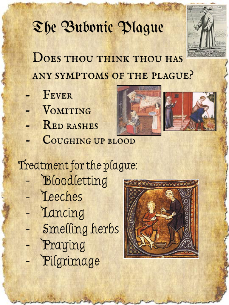 The Bubonic Plague | PDF