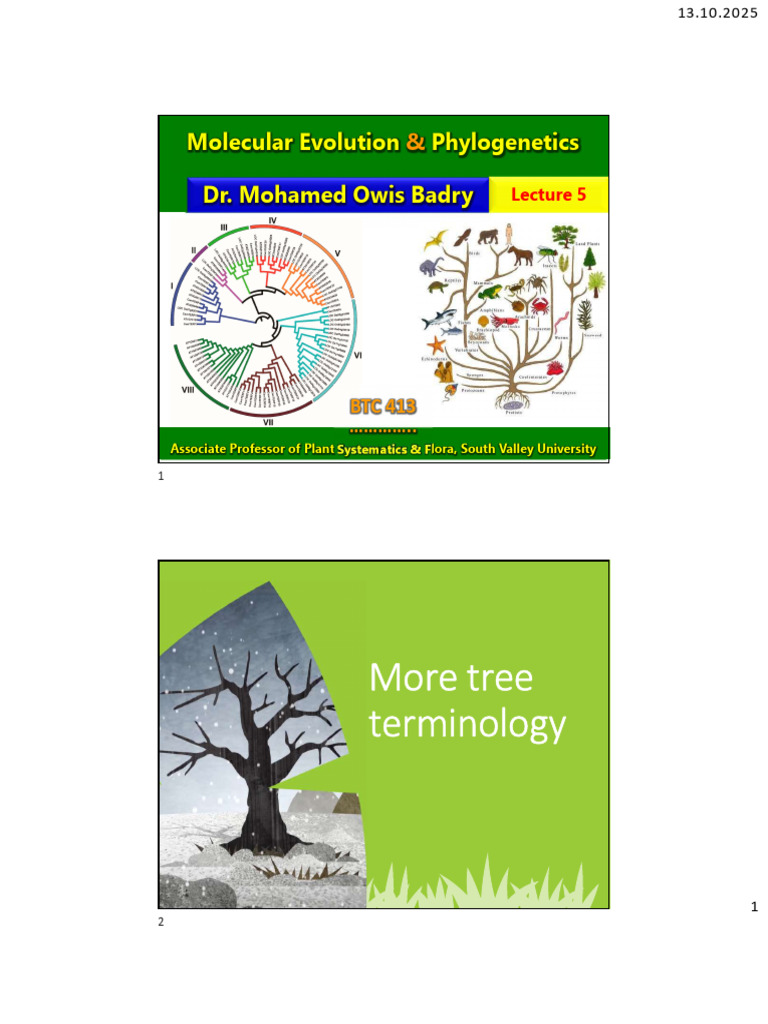 Lect 4_BTC413_Molecular Evolution and Phylogenetics | PDF | Homology ...