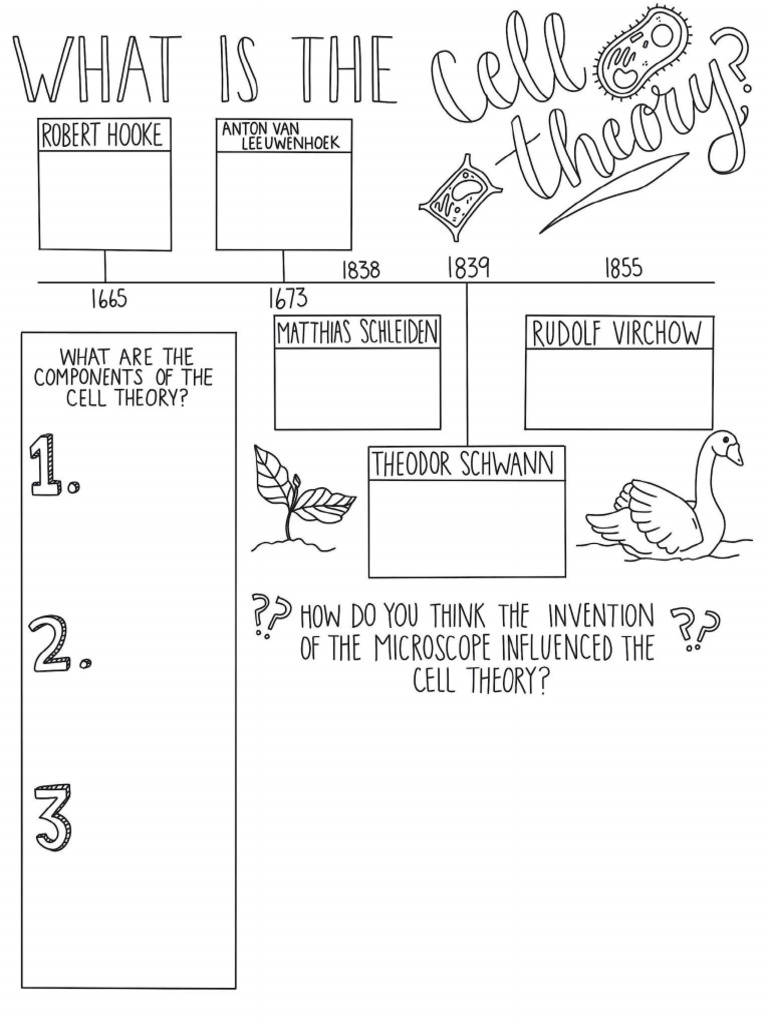 Cell Theory Nts Sheet | PDF