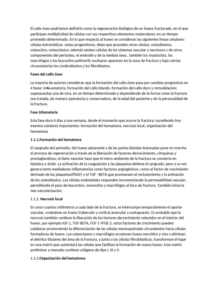 El Callo Oseo Explicacion Fisiologica y Clasificacion de Las Fracturas ...