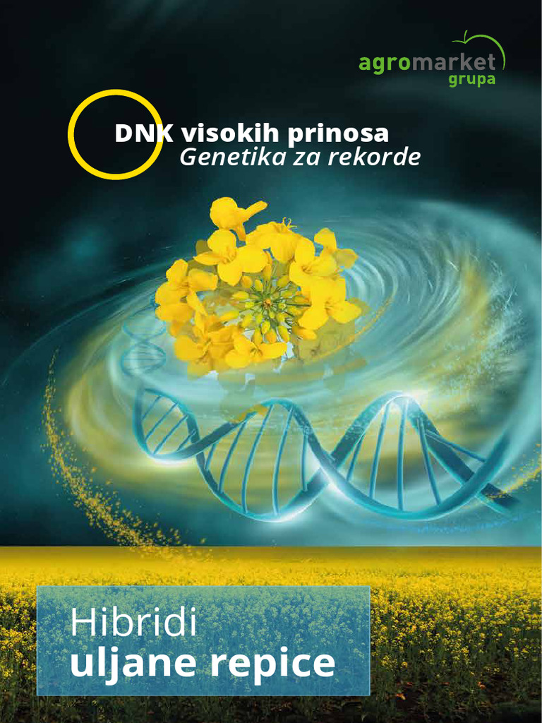 Agrosvet Hibridi Uljane Repice 2022 | PDF