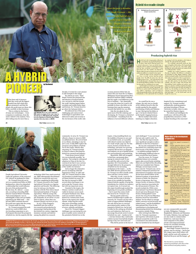 Sant Virmani: Pioneer of Hybrid Rice | PDF | Plant Breeding ...