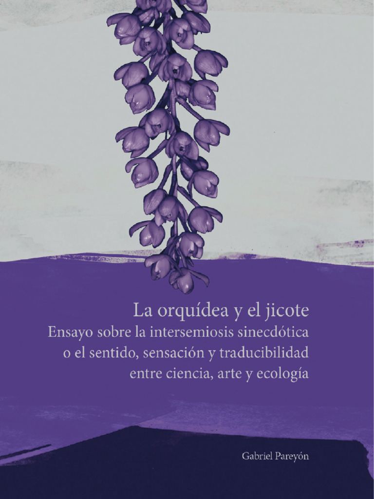 Pareyón - La orquídea y el jicote | PDF | Platón | Pensamiento