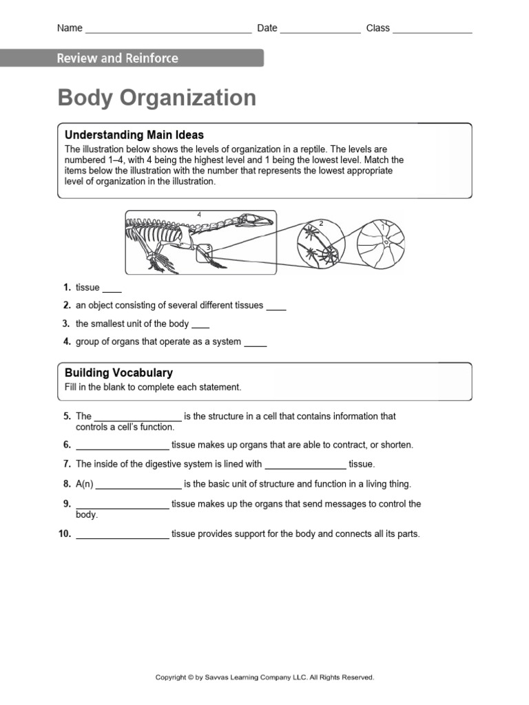 Lesson 1.1 - Quiz Page 1 | PDF