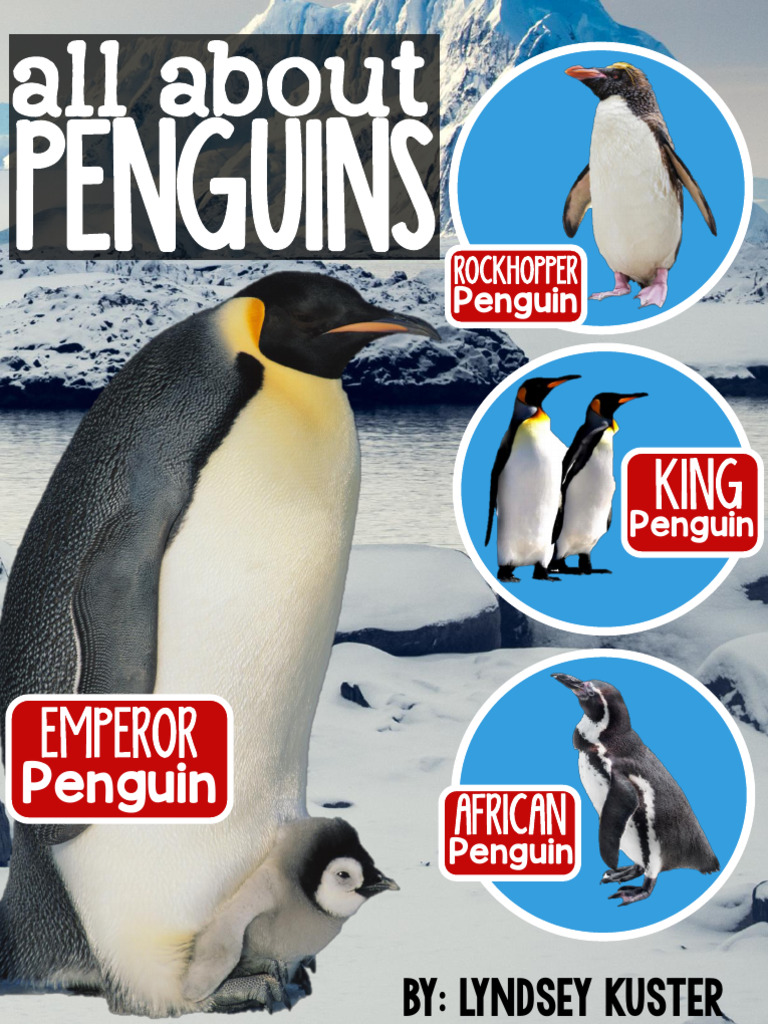 All About: Penguin | PDF | Penguin | Birds