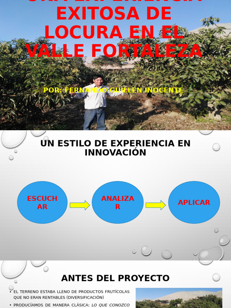 Experiencia Exitosa - Palta - Fernando | PDF
