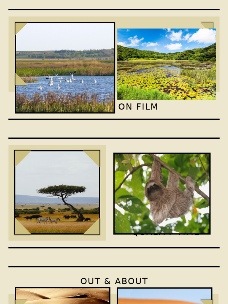 biomes pictures kids | PDF
