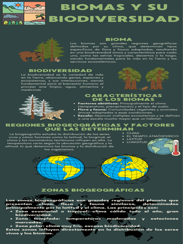 Biomas y Su Biodiversidad | PDF | Clima | Ecosistema