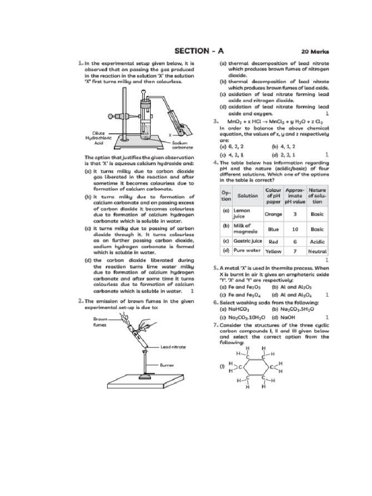 Science Paper 2023 | PDF