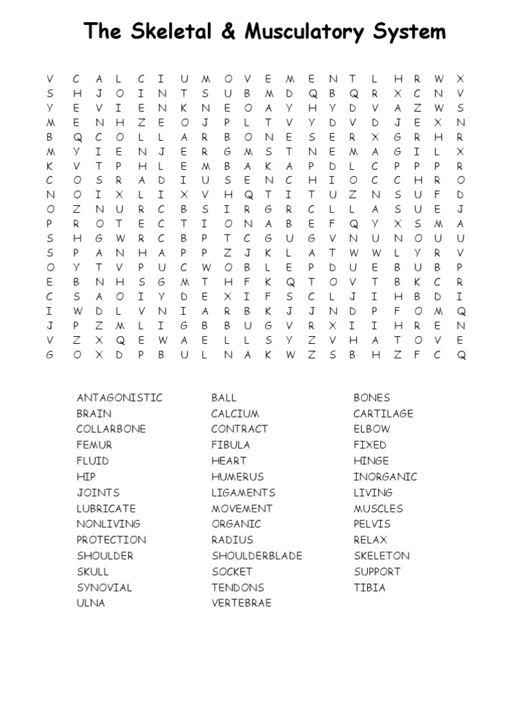 Skeletal & Musculatory Word Search | PDF | Skeleton | Limbs (Anatomy)