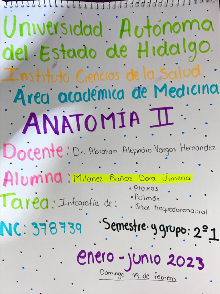 Milanez Baños Dora Jimena_ pleuras, pulmones y árbol traqueobronquial | PDF