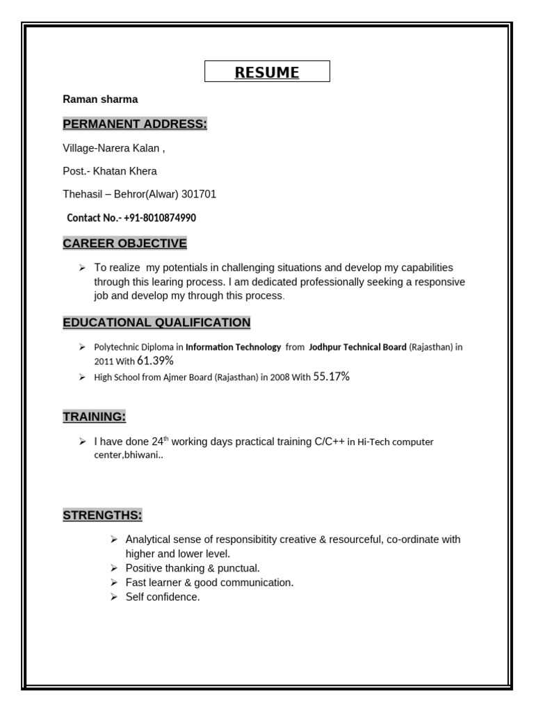 Raman Resume | PDF