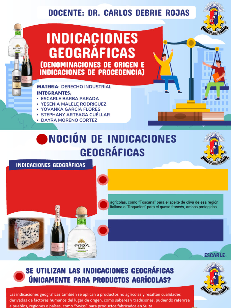 tema 9 indicaciones geograficas | PDF