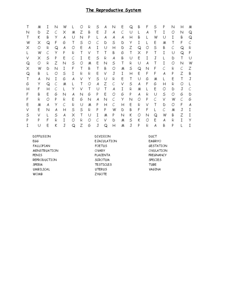 The Reproductive System Word Search | PDF