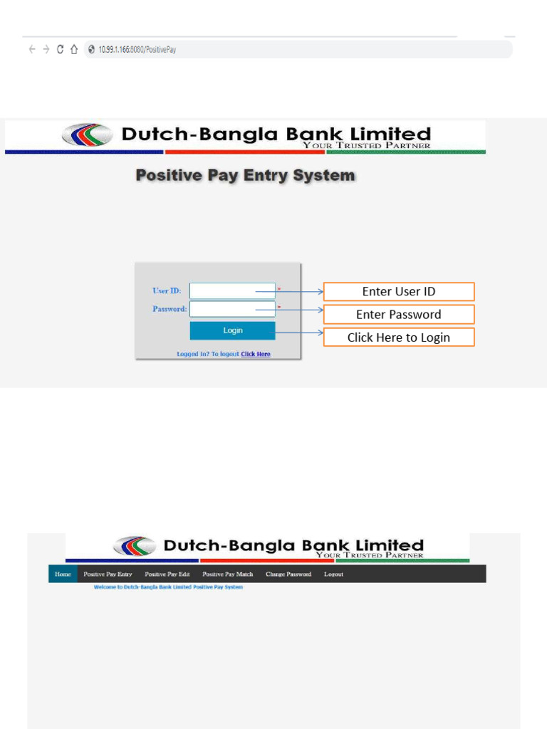 Positive Pay | PDF