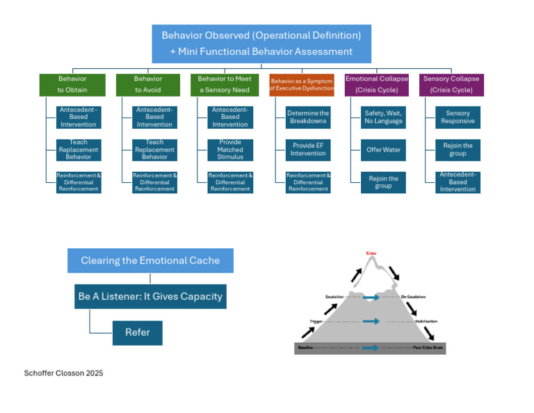 Behavior Flow Chart | PDF
